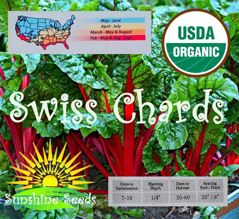 PSA Ruby Red Swiss Chard Seeds 50 Organic Florida Grown Fast Growing ...