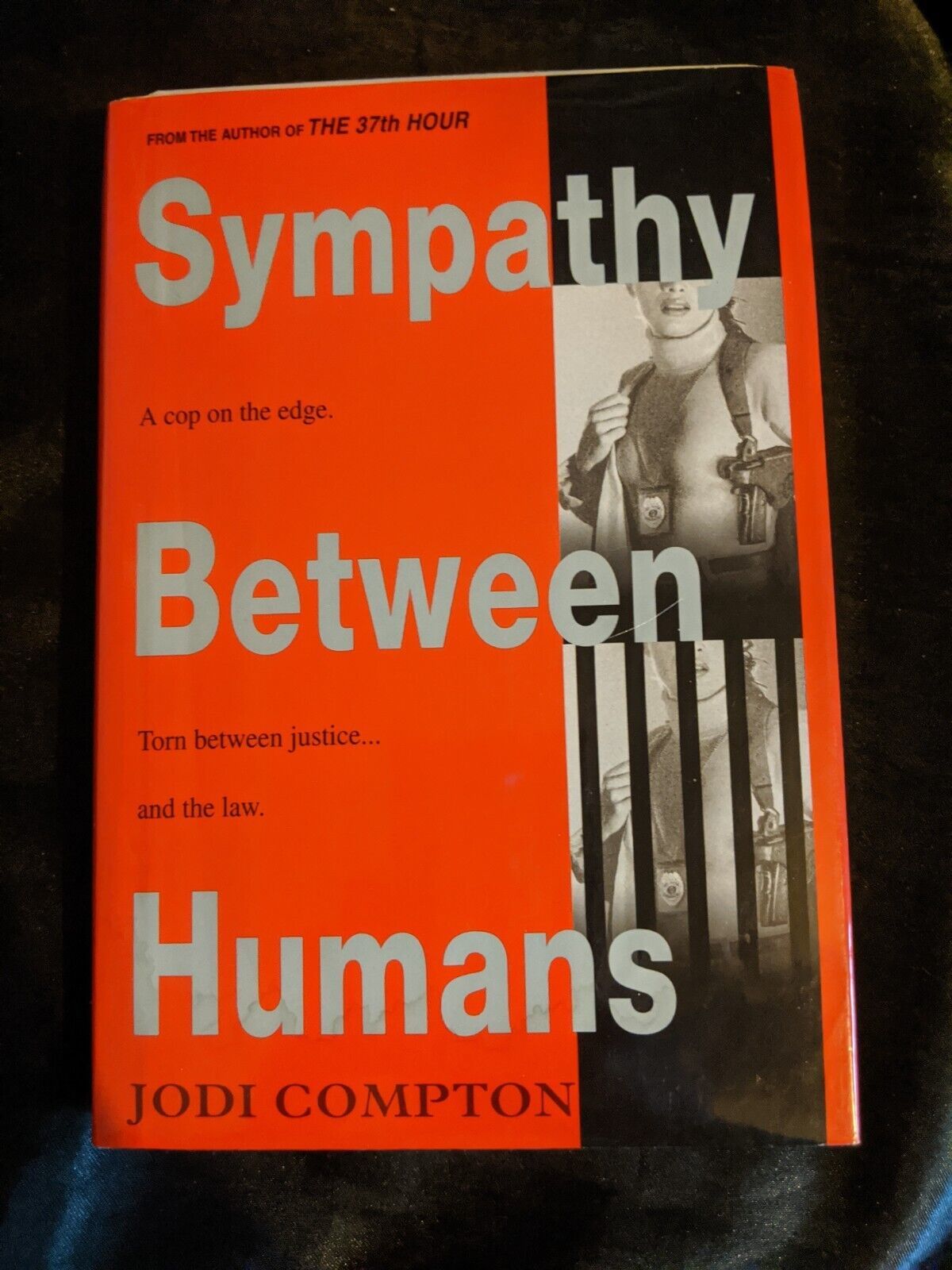 Sympathy Between Humans by Compton, Jodi - Everything Else