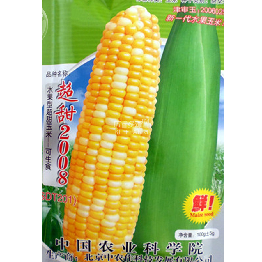 Corn Super Sweet 2008 Fruit Corn Seeds 100 Grams Pack Sugar Corn Juicy ...