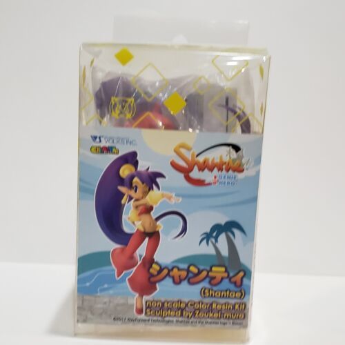 Volks • CharaGumin • Shantae Half Genie Hero • Shantae Color Resin ...
