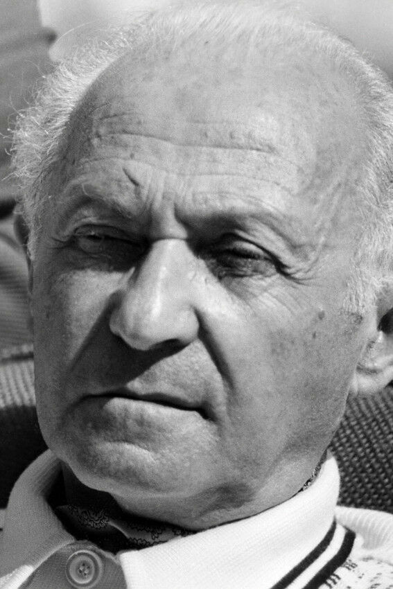 Lee Strasberg As Hyman Roth In The Godfather: Part Ii 11x17 Mini Poster ...