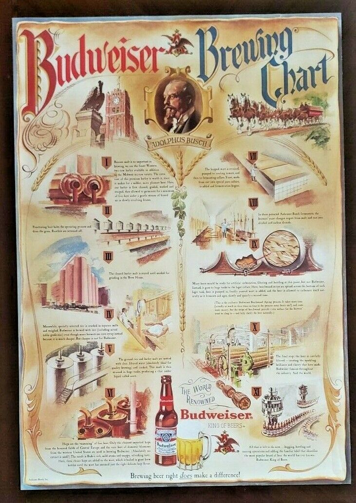 Vintage Rare 1990's Budweiser Brewing Beer Chart Poster King of Beers ...