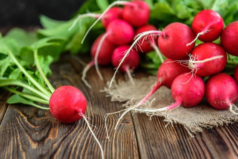 BS Cherry Belle Radish 200 Seeds Heirloom~Non-Gmo~Organic ~ Fast Grow ...