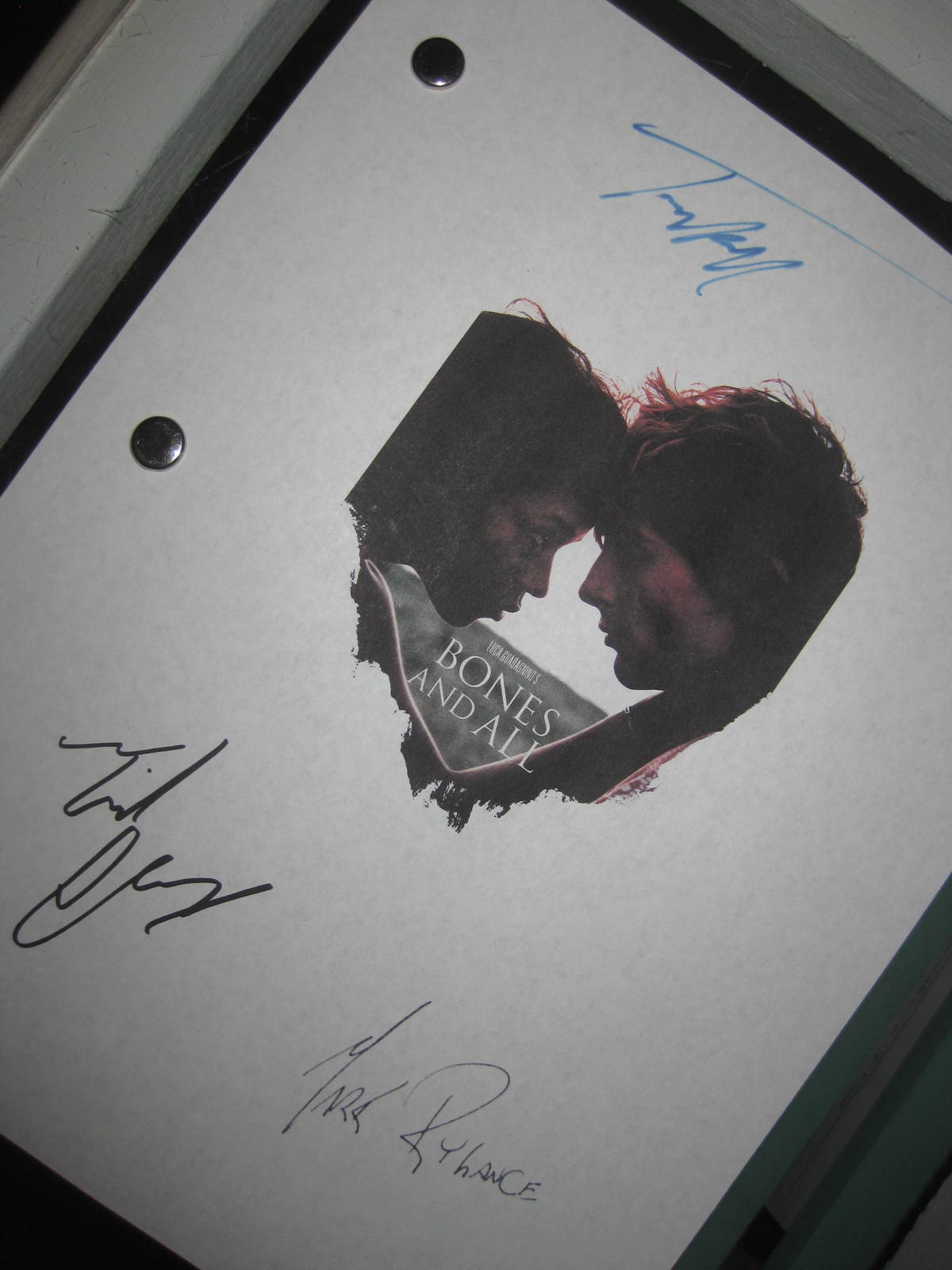 Bones and All Signed Movie Film Script Screenplay X3 Autograph Timothée Chalamet - Reproductions