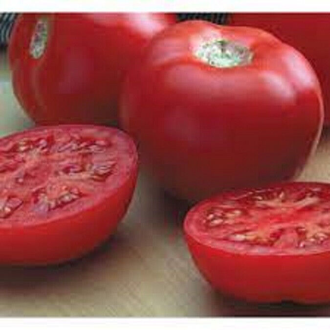 HS 50 Seeds Italian Goliath Tomato Juicy Tomatoe Vegetable Garden ...