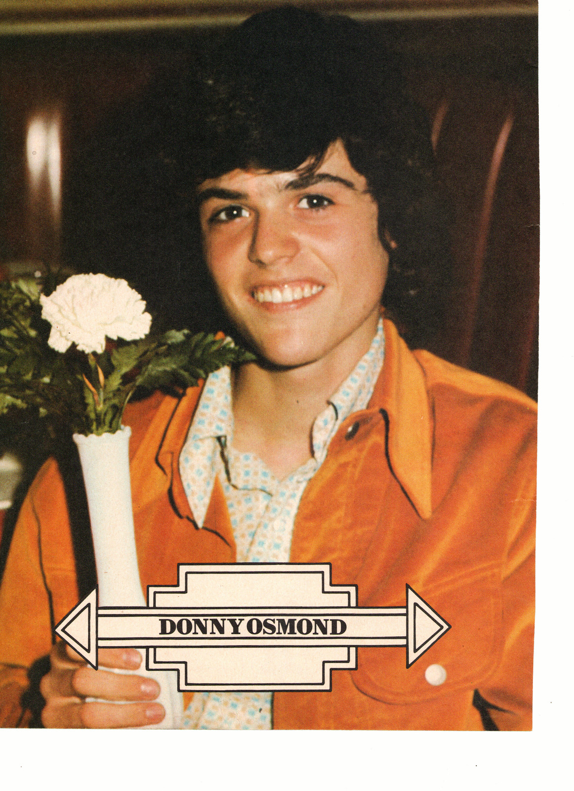 Donny Osmond Mackenzie Phillips teen magazine pinup clipping hand on ...