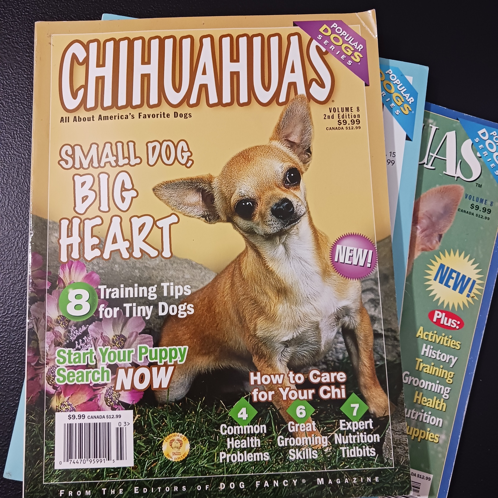 Chihuahuas Fancy Dog Magazine Back Issue Lot Dog Reading Material on ...