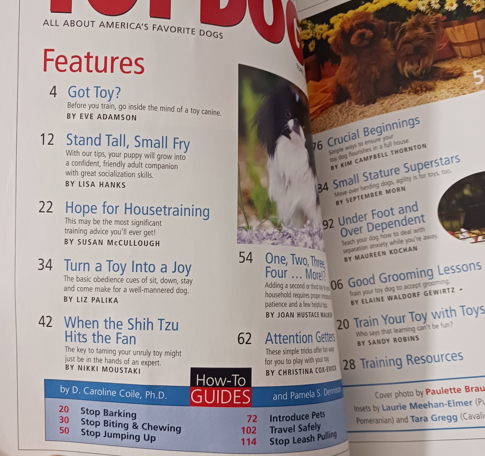 Chihuahuas Fancy Dog Magazine Back Issue Lot Dog Reading Material on ...