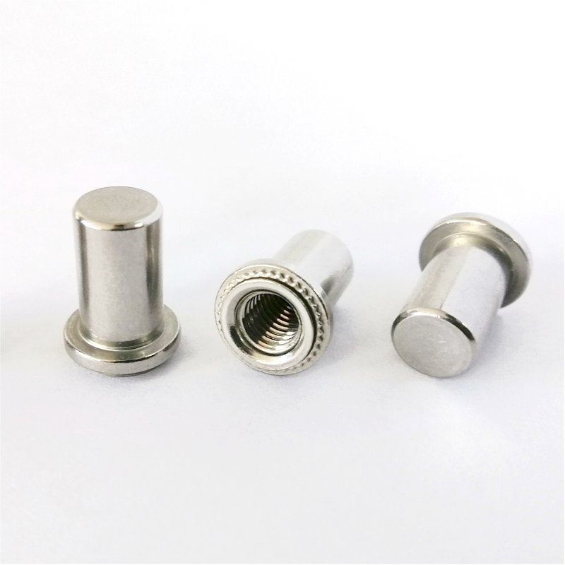 1000Pcs BS-M5-2 Blind Nuts Clinch Nut Use in PCB Sheet Metal Rivnuts Screw Rivet - Blind & Drive ...