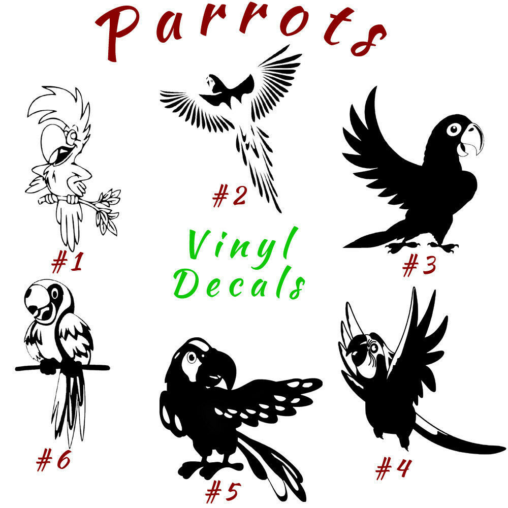 Parrot Vinyl Decal Sticker Car Bumper Window Wall Laptop iPhone iPad ...
