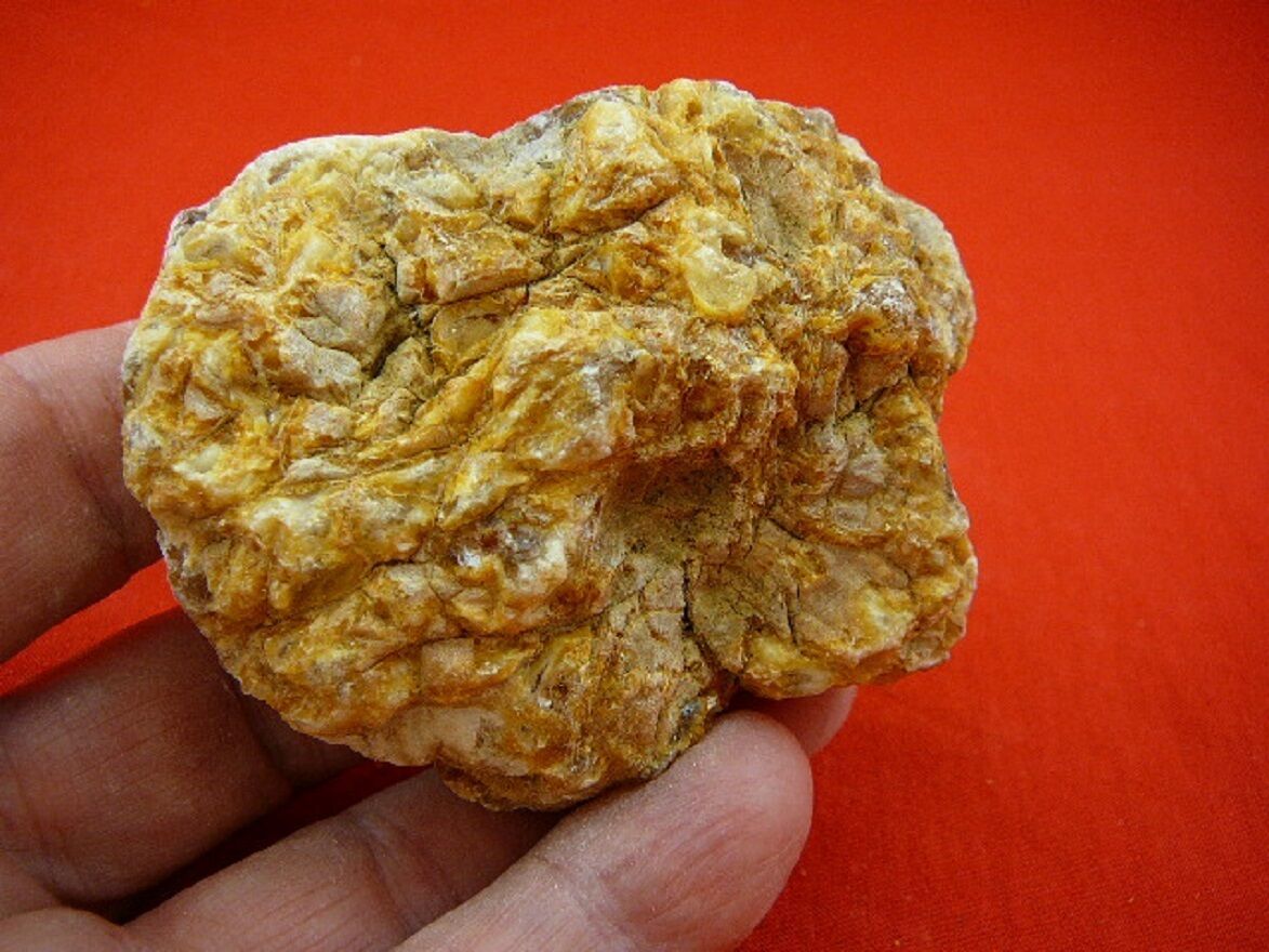 (k-2639) 70 g Rare Kauri tree Gum copal young Amber New Zealand Tane ...