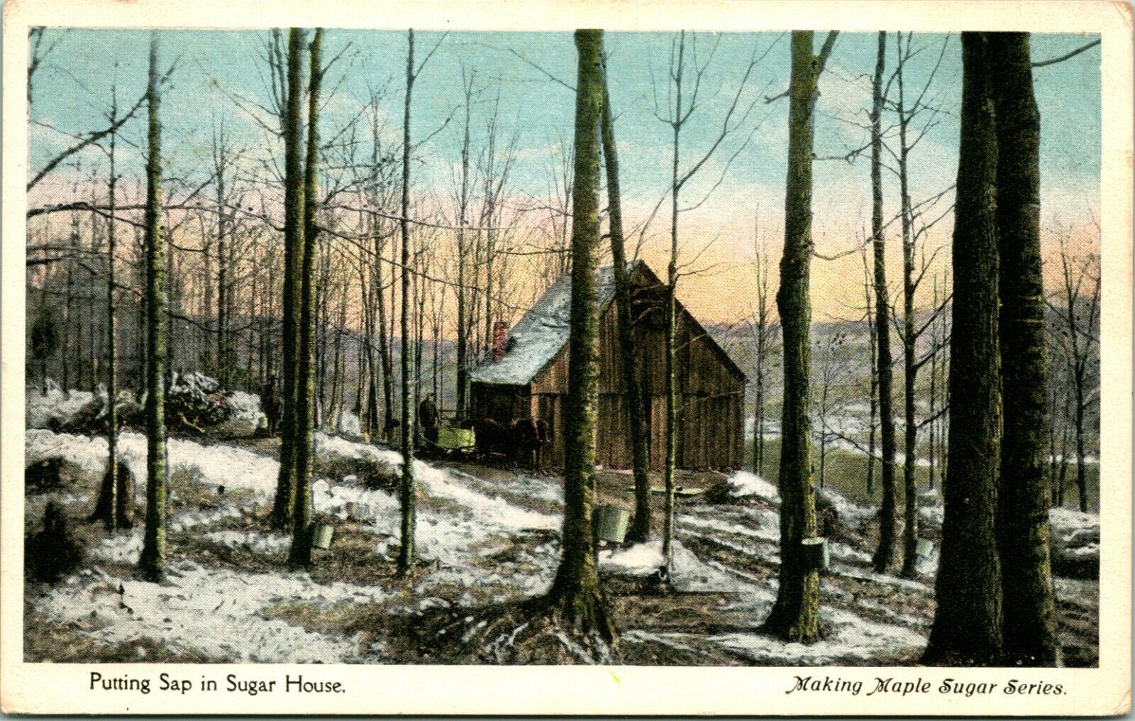 1920s Postcard GMCCO Making Maple Sugar Series #7 Putting Sap In Sugar ...