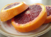 Delfino Blood Orange Tree, 1-2 feet tall, grafted, No Ship Az, Ca, Fl ...