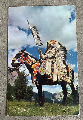 1959 Yellowstone Park Indian Chief Postcard and 50 similar items