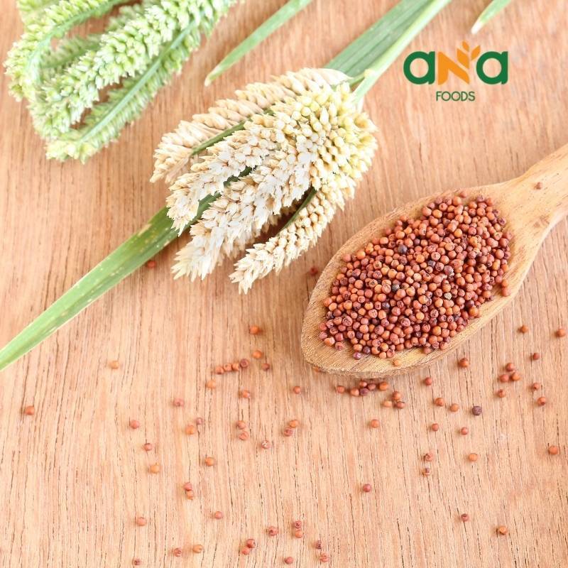 Finger Millets (Ragi/Nachni/Mandua) | 500g Jar | Gluten-Free Ancient ...