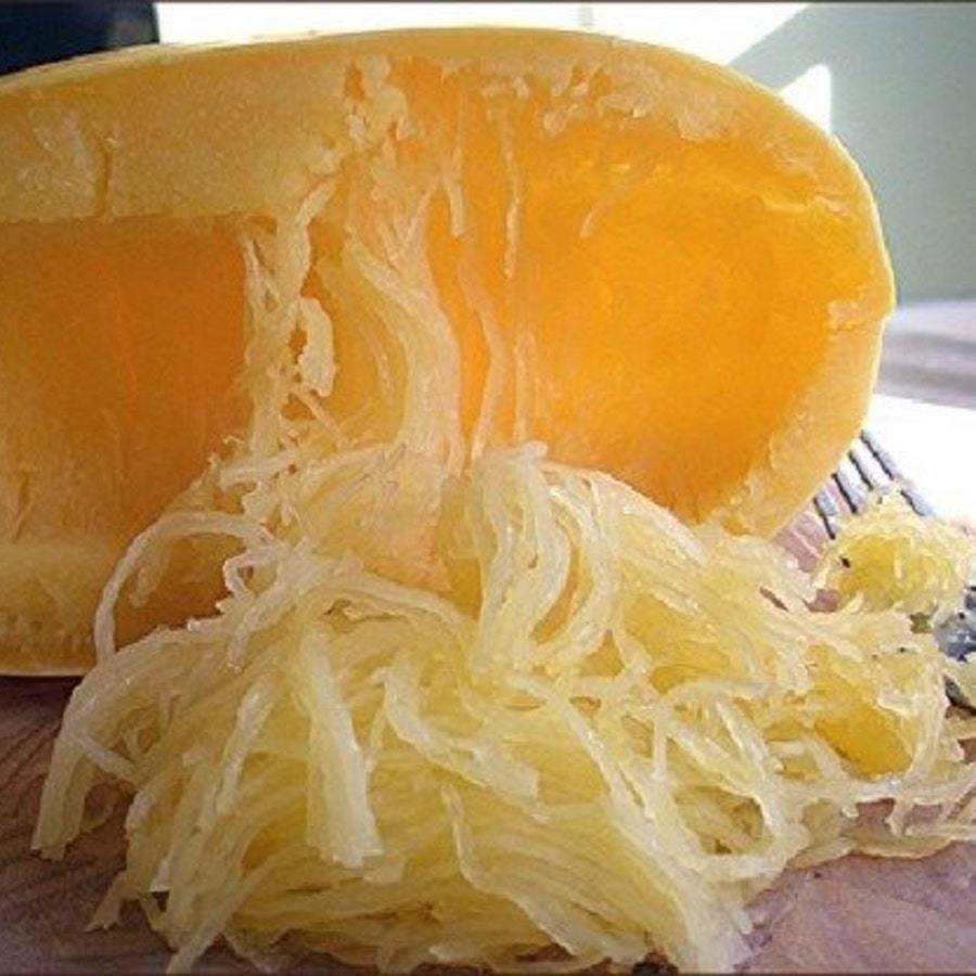 50 Seeds Spaghetti Squash Seeds Winter Squash New Fresh US Shipping ...