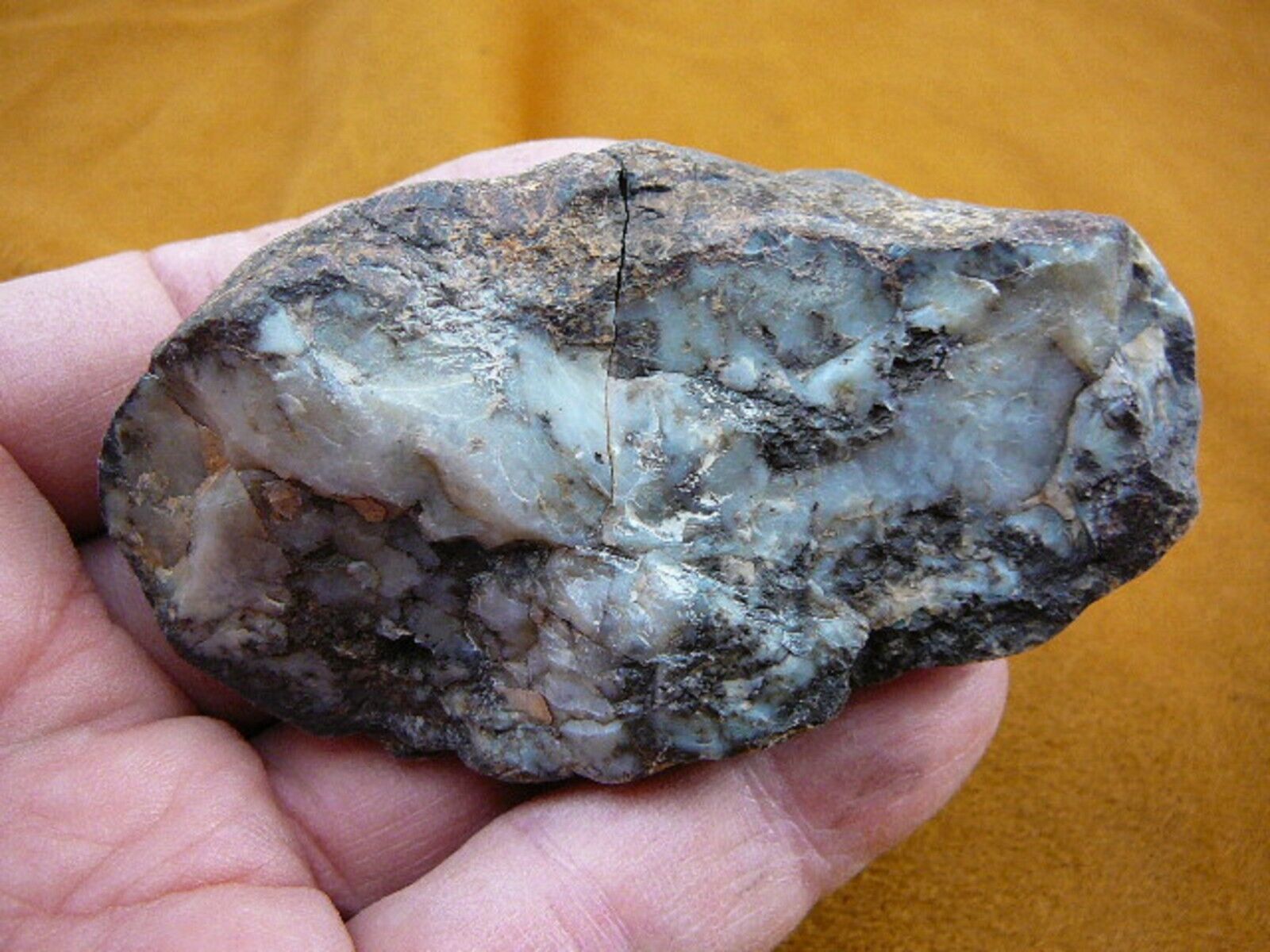 DF702-21) 5 oz Ancient REAL DINOSAUR POOP Coprolite Dino Utah Jurassic ...