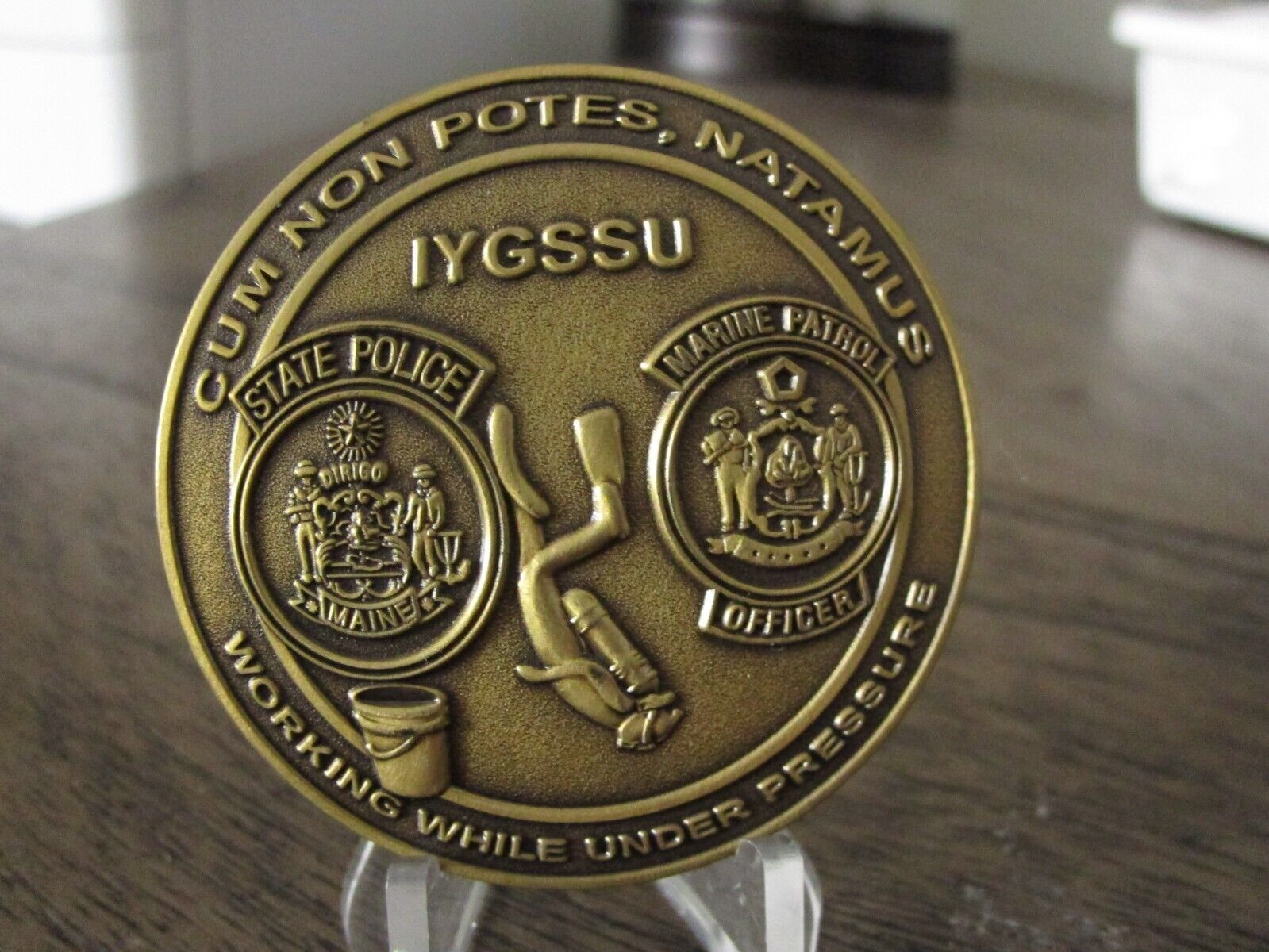 MSP Maine State Police Underwater Recovery Team Challenge Coin #314T ...