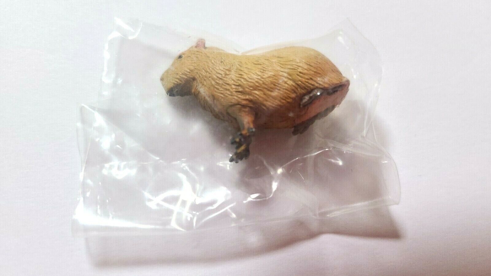 KAIYODO Capsule Q Museum Rare Beast Zoo All 5 types set Gacha Gacha - Other