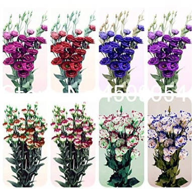 Eustoma Bonsai Seeds Perennial Flowering Balcony Potted Flowers - Seeds ...