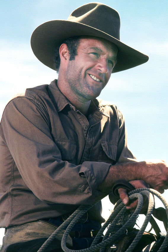 James Caan As Alan Bourdillion Traherne In El Dorado 11x17 Mini Poster ...