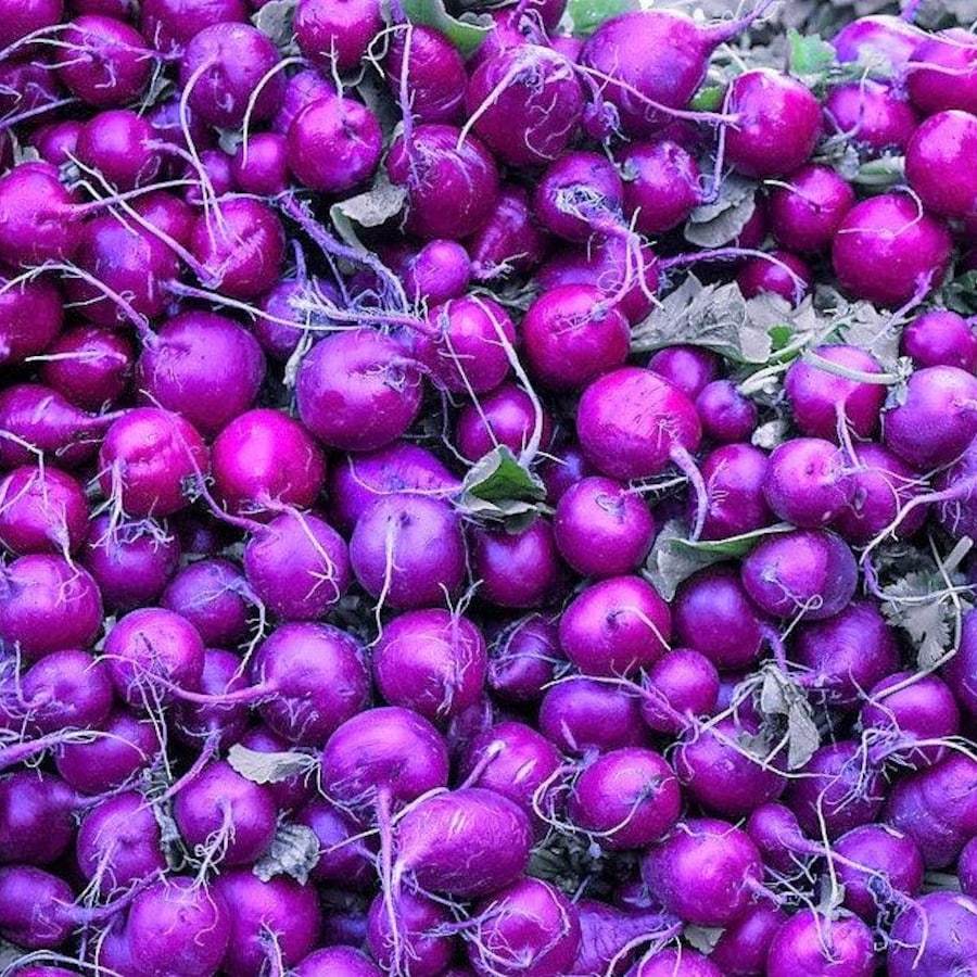 300 Purple Plum Radish Raphanus Sativus White Flesh Root Vegetable ...