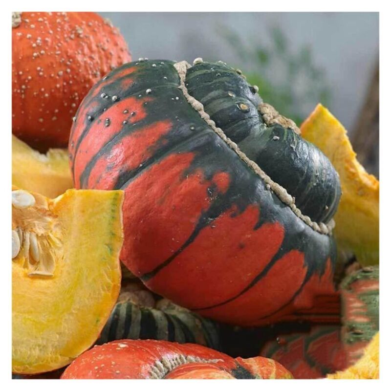 SMX Turks Turban Gourd Seeds 5 Seeds Indoor Gardening - Seeds & Bulbs