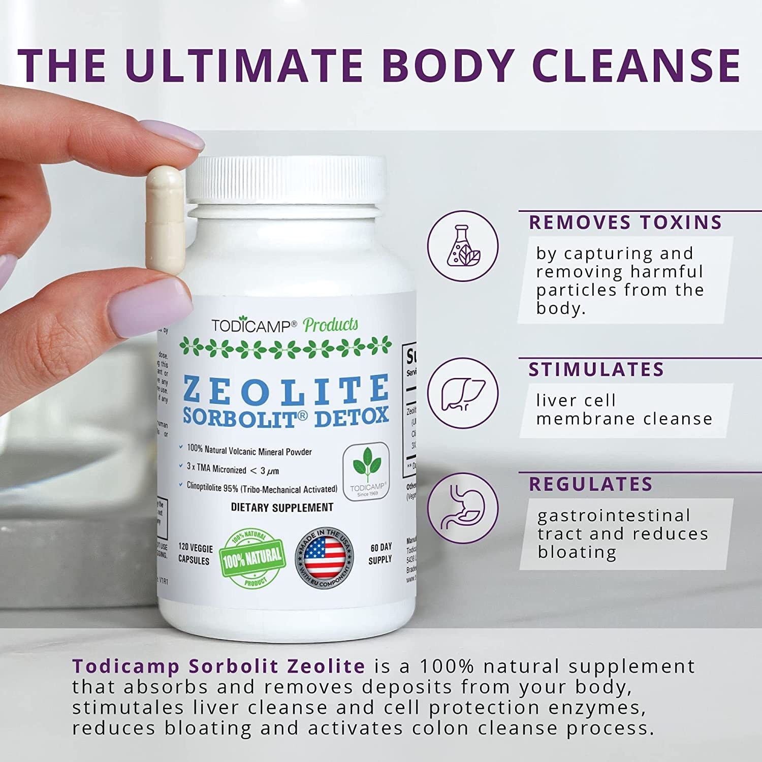 TODICAMP Zeolite Detox - Zeolite Capsules Sorbolit Ultra FINE 1-2 µm ...