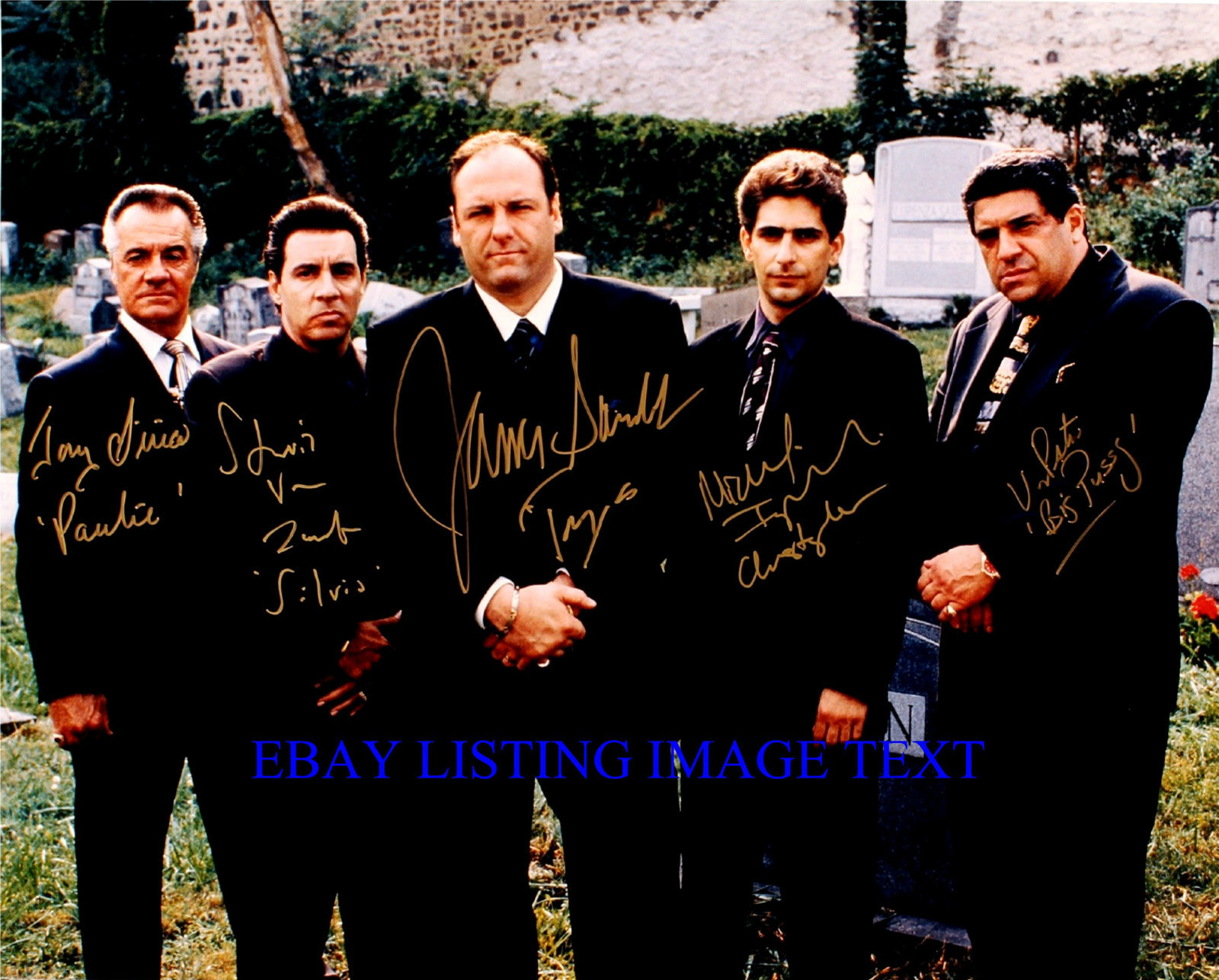 THE SOPRANOS CAST AUTOGRAPHED SIGNED AUTOGRAPH 8x10 RP PHOTO JAMES GANDOLFINI - Television