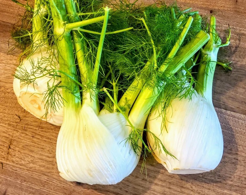 PSA Dragon Fennel Seeds 200 Organic Florida Grown Host Fast Growing ...